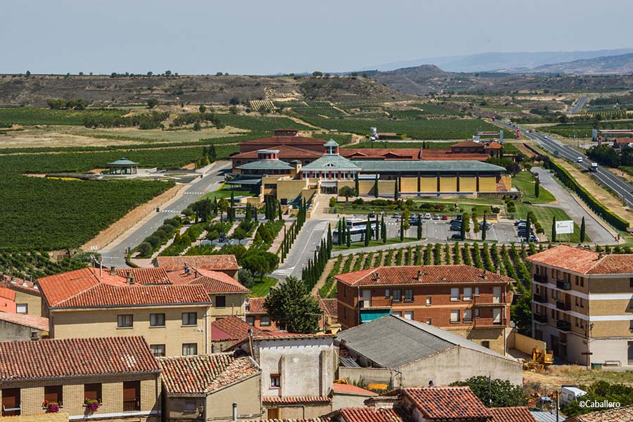 Bodegas Vivanco cultura del vino | un caldo y un clic